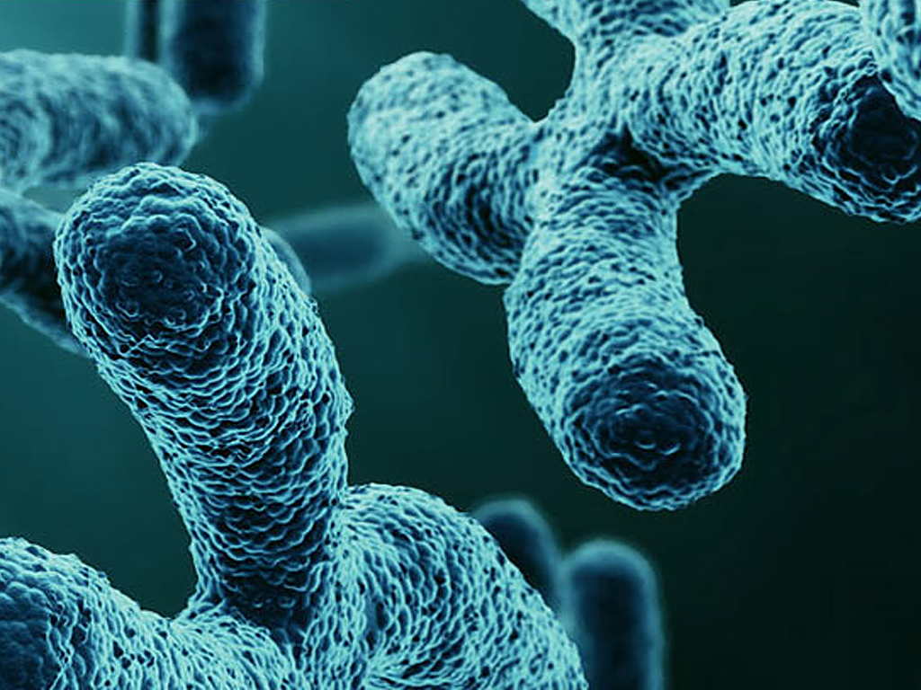 Scientists have created synthetic cells that respond to external ...